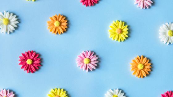 LiveLoveLuna will soon be The Period Co.